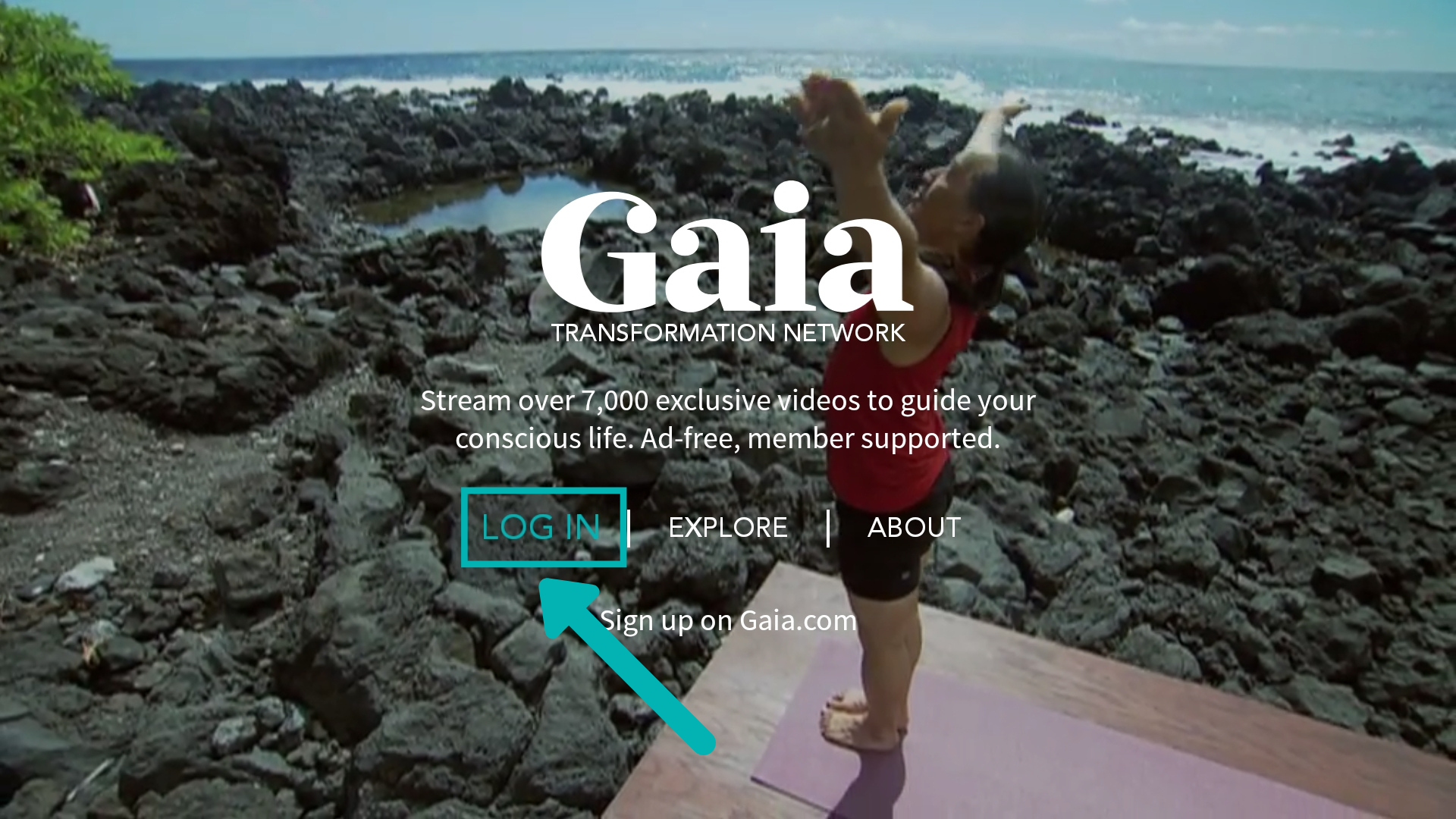 Comment faire pour installer Gaia sur mon téléviseur Android et m'y ...